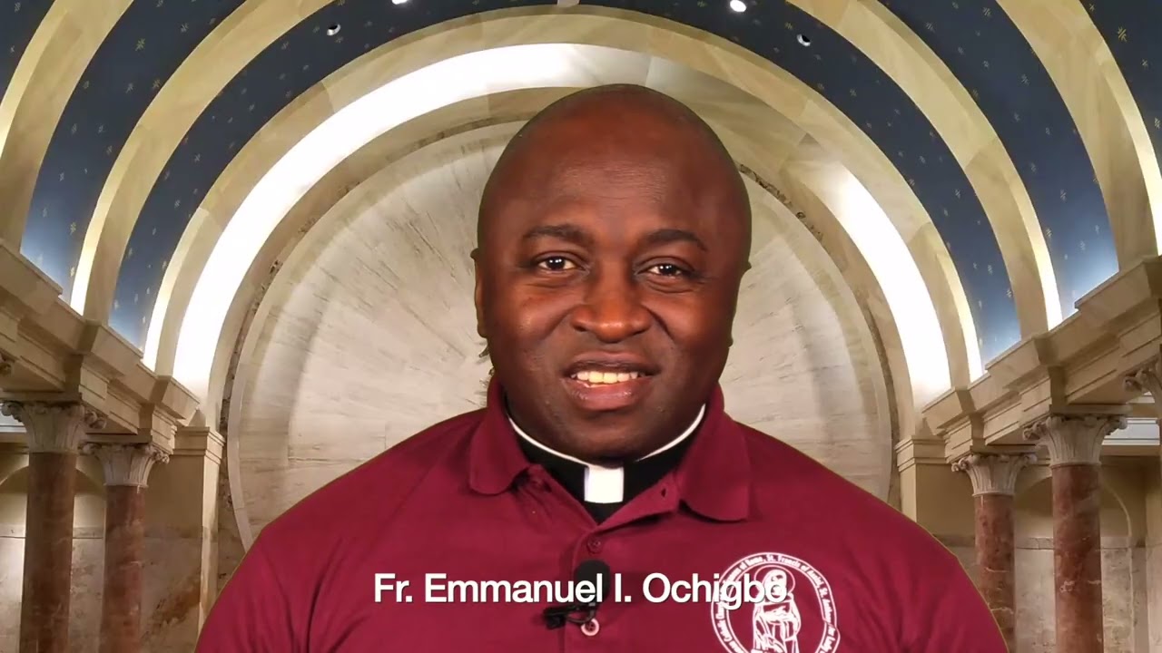 FEED THE RIGHT BEAST: 20TH SUNDAY IN ORDINARY TIME YEAR C ON AUGUST 17 ...